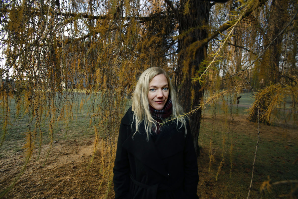 Majas suksesshistorie - Leffes Lab